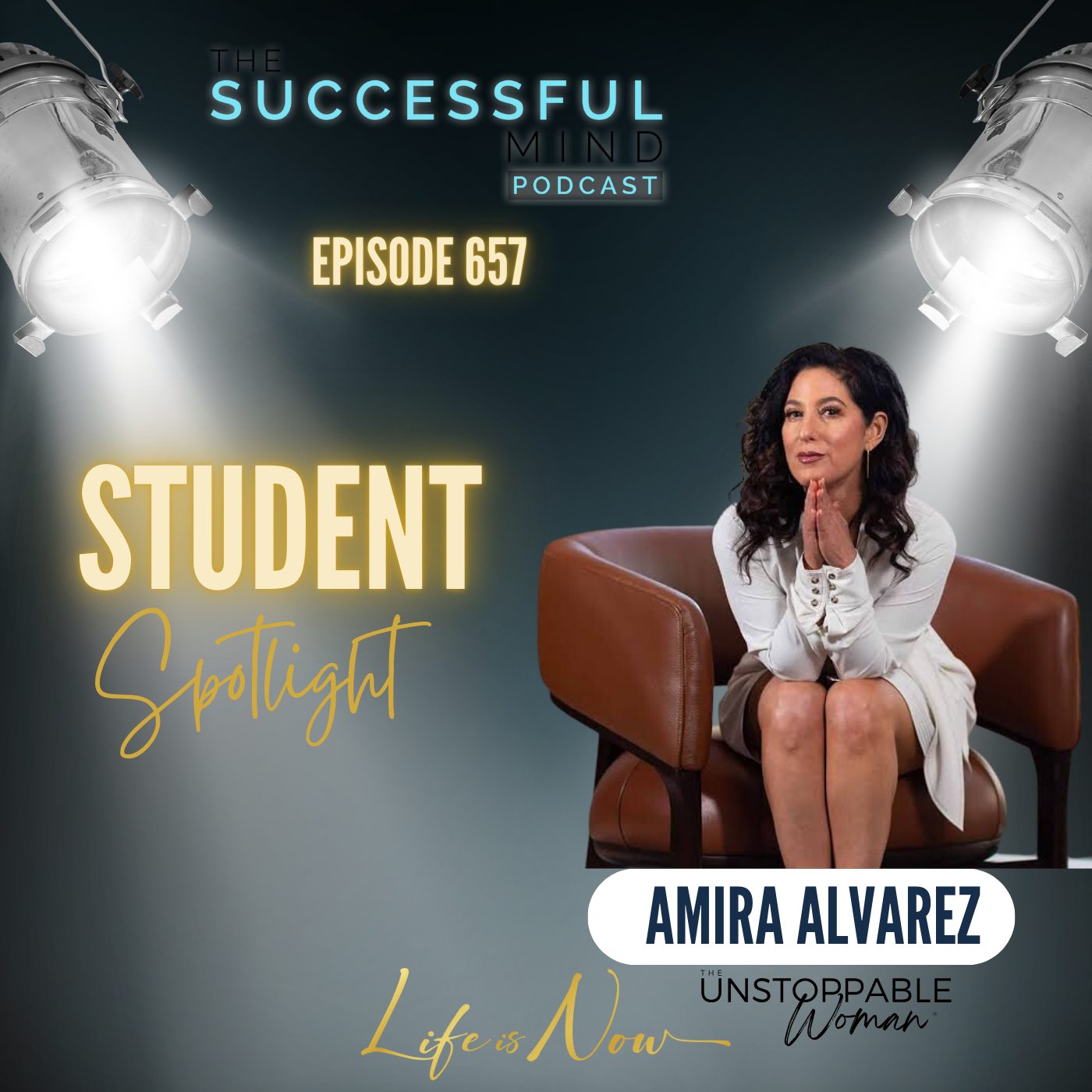 The Successful Mind Podcast with David Neagle